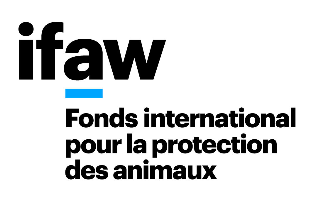 Nos partenaires – SOS Tortue Bretagne